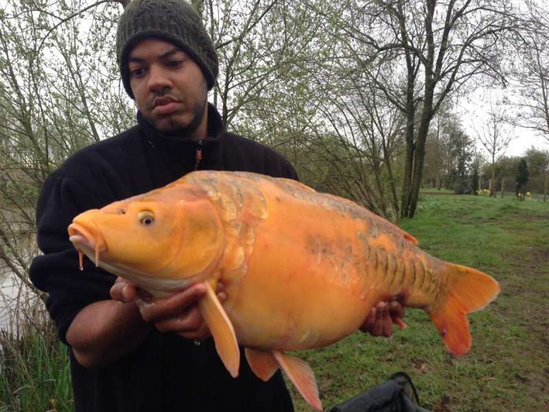 Bearley Lakes | Fishery.co.uk