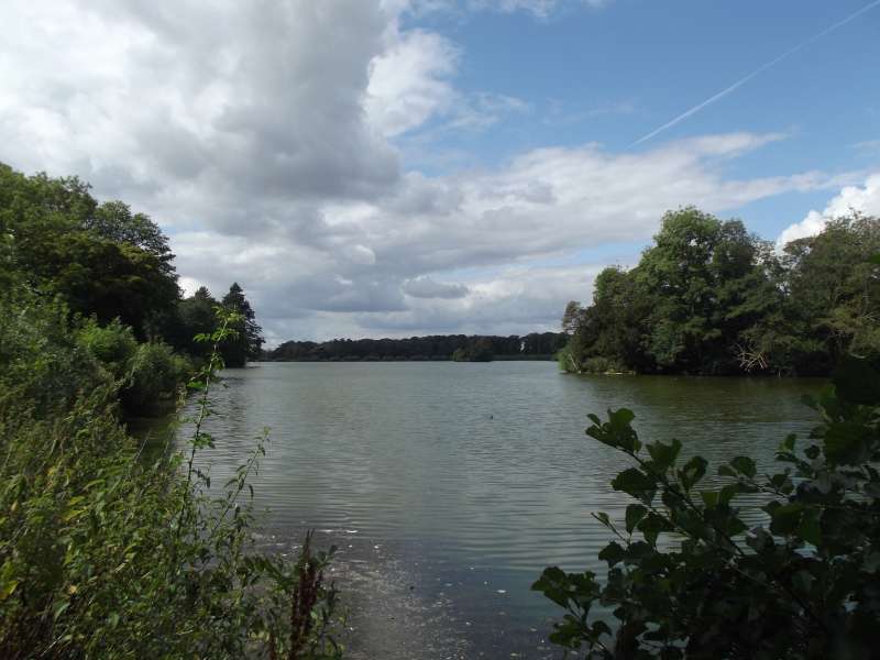 Revesby Fisheries | Fishery.co.uk